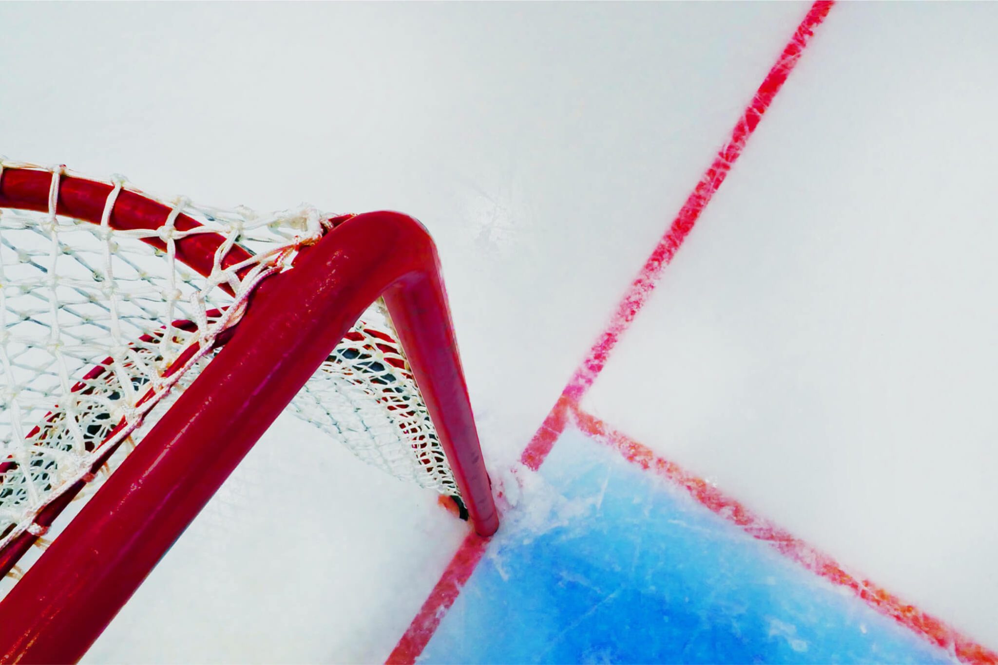 The arena - Hovet Arena
